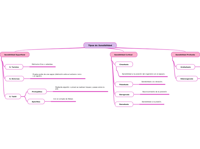 Tipos de Sensibilidad - Mind Map
